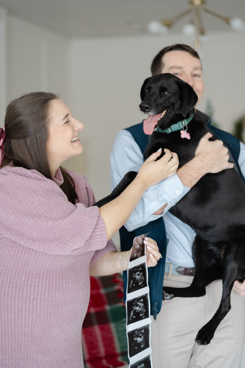 Why a Photo Session With Your Dog is a Must